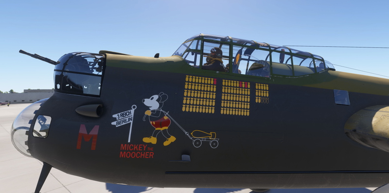 Other Liveries Liveries for Microsoft Flight Simulator | MSFS