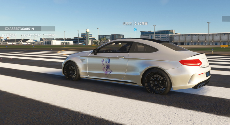 Other Liveries Liveries for Microsoft Flight Simulator | MSFS