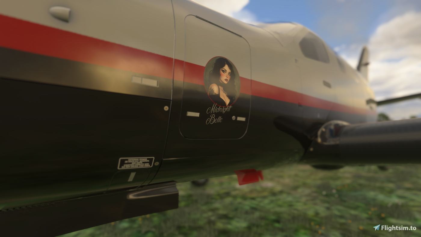 Black Square TBM 850 Livery – “Midnight Belle” (D-EPIC) для Microsoft ...