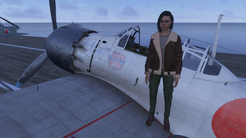 Liveries for Microsoft Flight Simulator 2024 | Flightsim.to