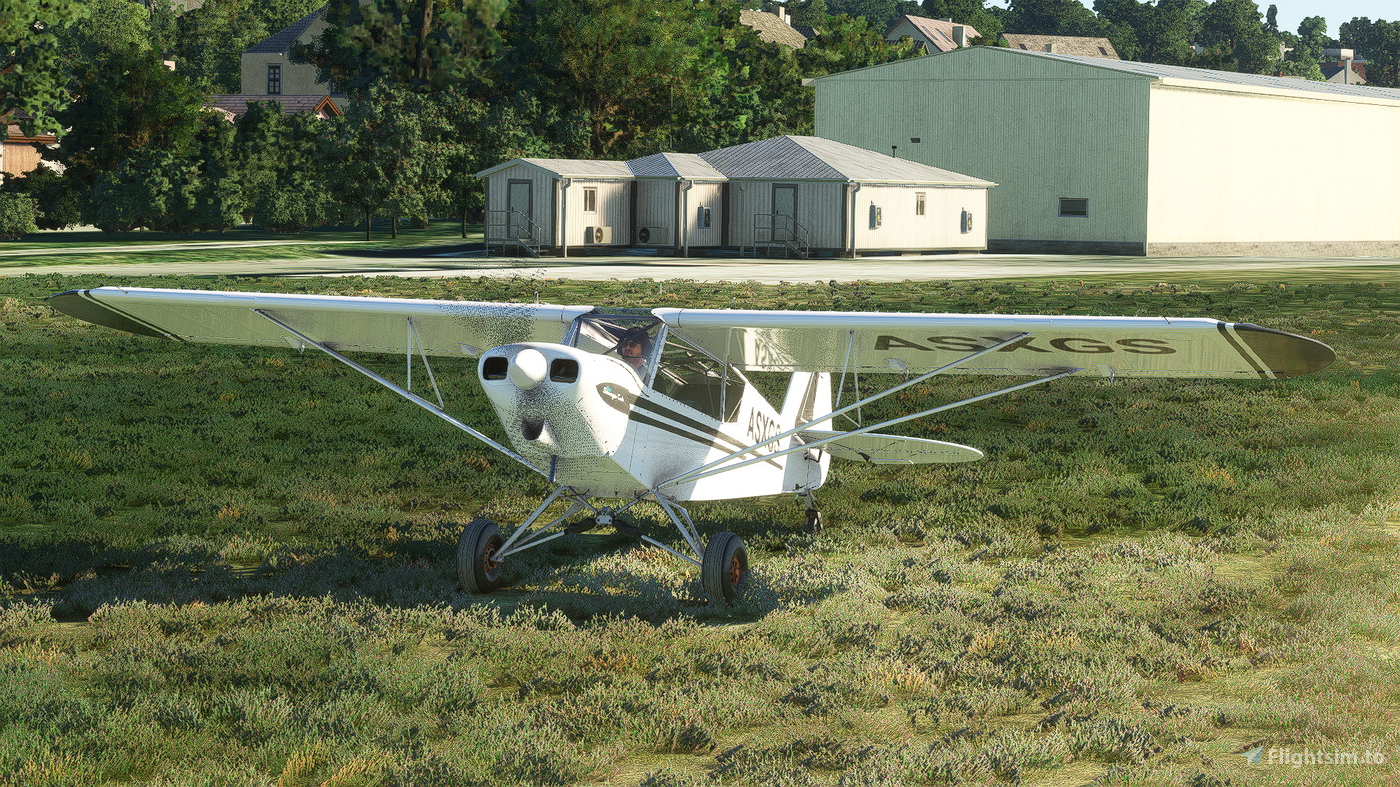 Box Simulations Savage Cub for Microsoft Flight Simulator | MSFS