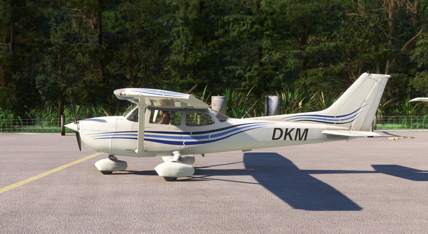C172 Classic DKM livery для Microsoft Flight Simulator | MSFS