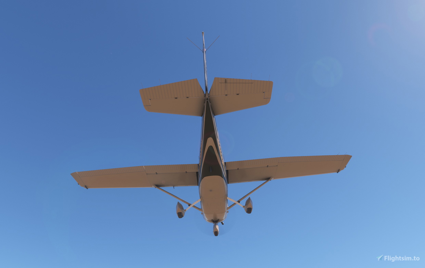C172 G1000 DEW Stripe Green for Microsoft Flight Simulator | MSFS