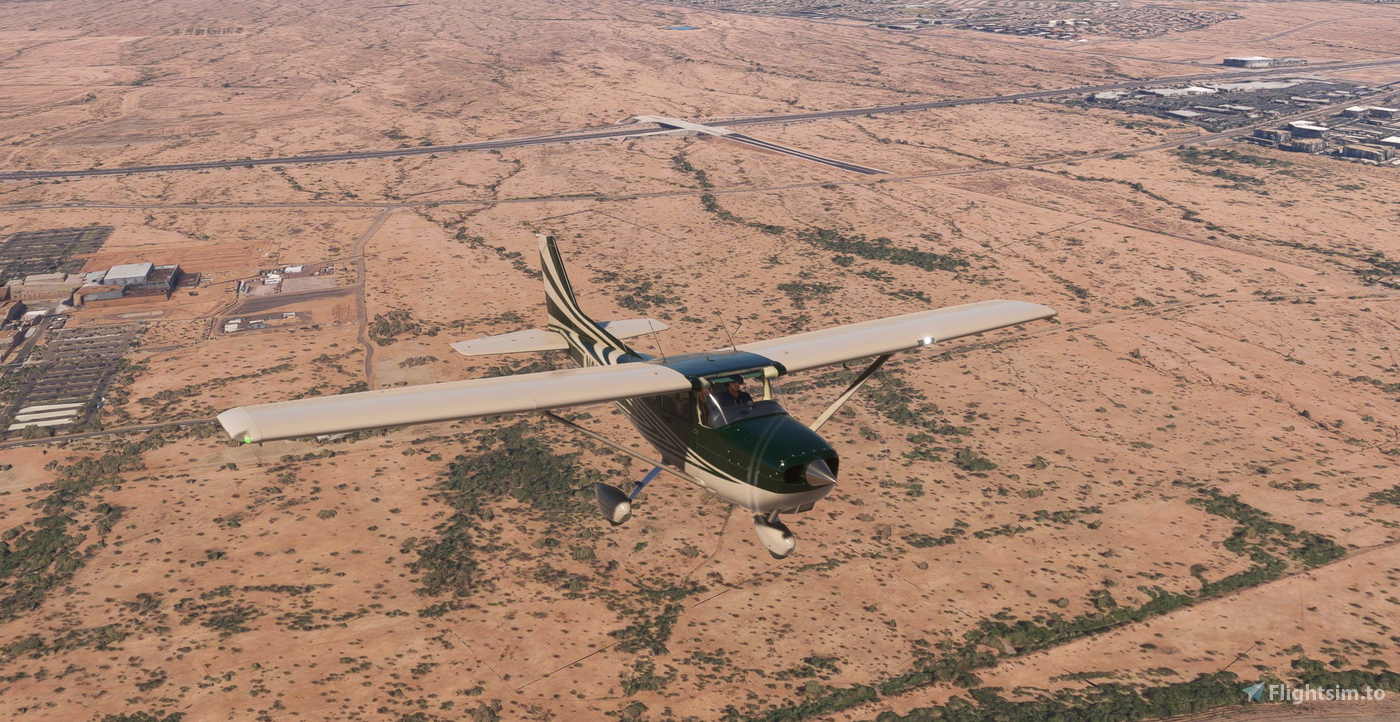 C172 G1000 DEW Stripe Green for Microsoft Flight Simulator | MSFS