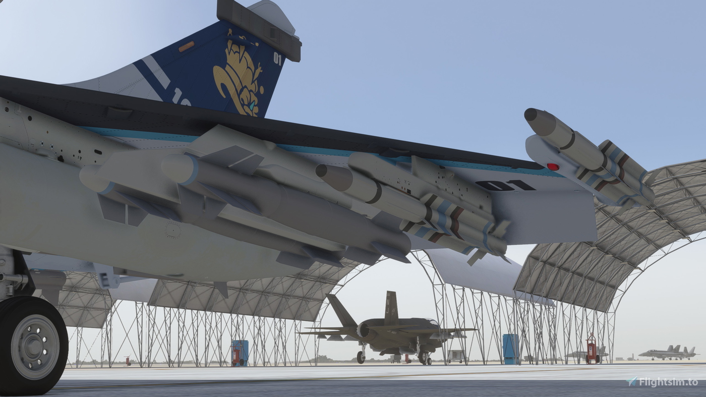 CJSimulations Dassault Rafale M | Salon Solitaire for Microsoft Flight ...