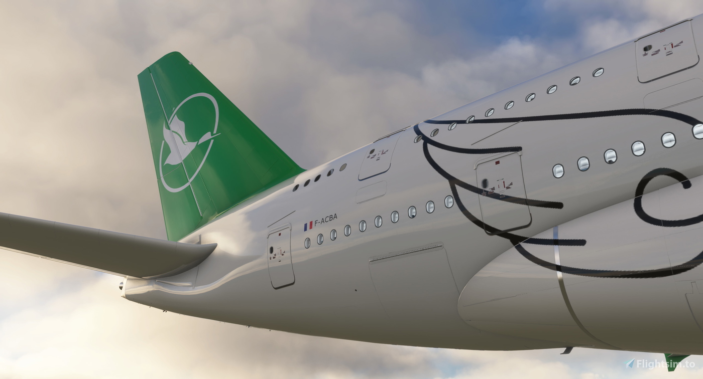 Coin Coin Airlines [F-ACBA] FBW A380X Clean and Dirty for Microsoft ...