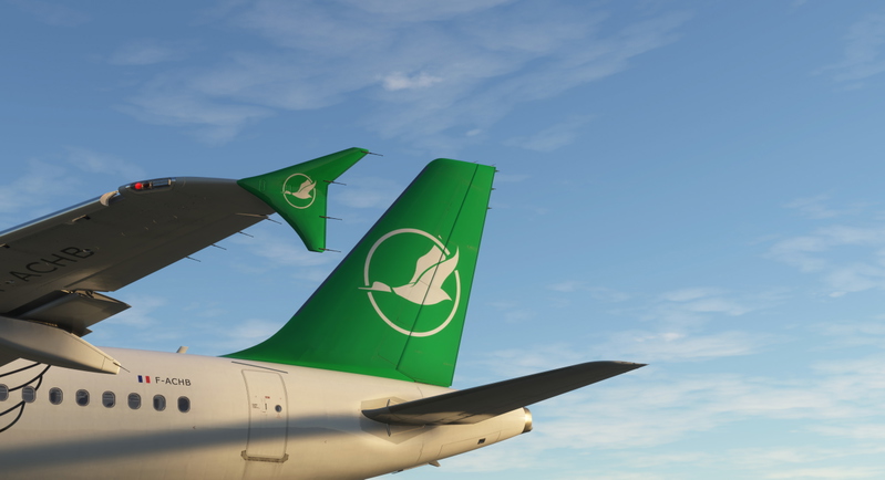 Fenix Simulations A319 Liveries for Microsoft Flight Simulator | MSFS