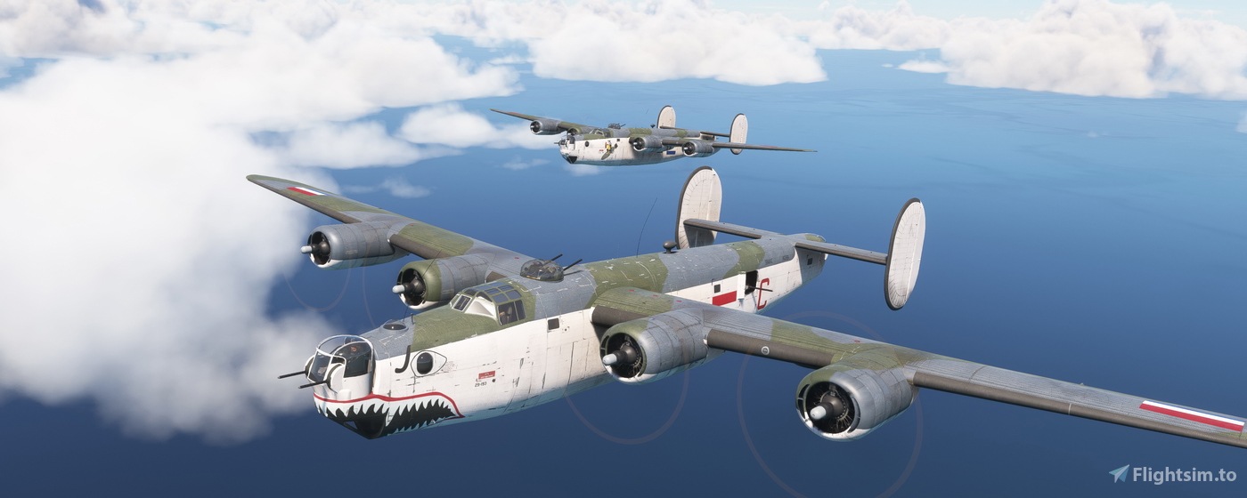 2x Consolidated B-24 Liberator Dutch Navy 321 Sqn for Microsoft Flight ...