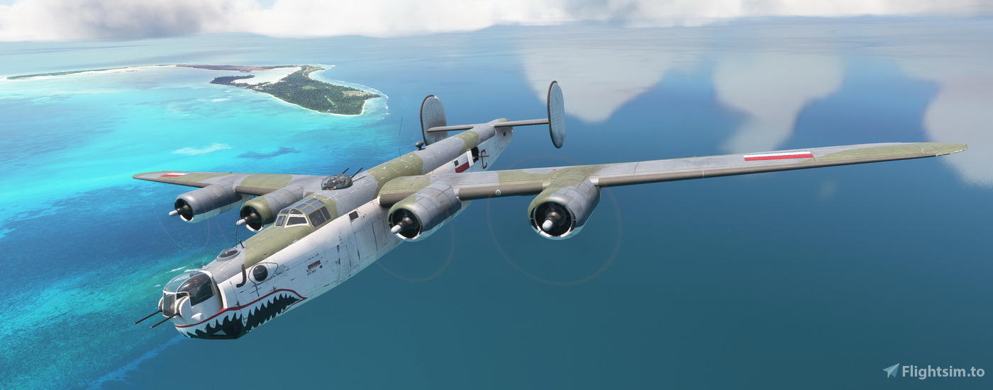 2x Consolidated B-24 Liberator Dutch Navy 321 Sqn para Microsoft Flight ...