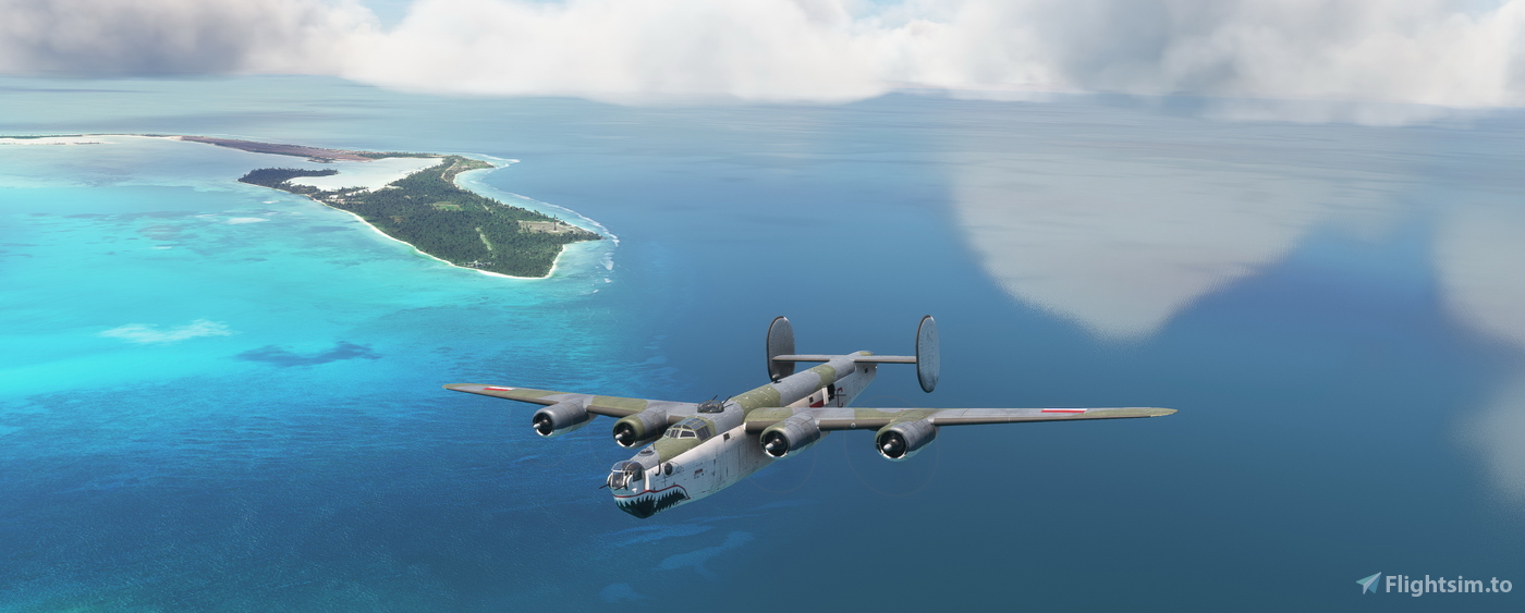 2x Consolidated B-24 Liberator Dutch Navy 321 Sqn para Microsoft Flight ...