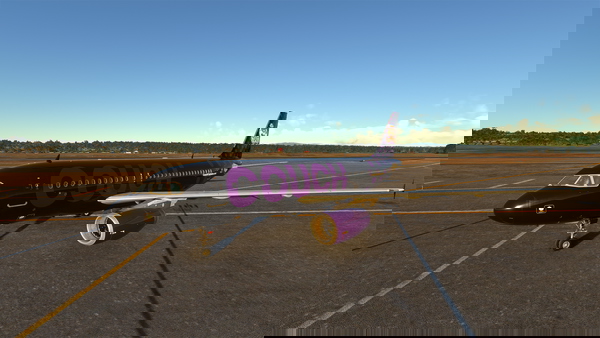 Couch Captains Fenix A320 - Livery Pack for Microsoft Flight Simulator ...