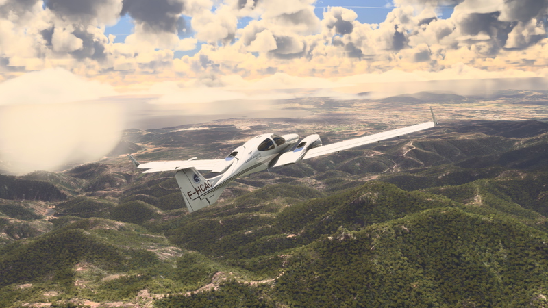 Cows | DA42-TDI | Cannes Aviation Academy F-HCAC for Microsoft Flight ...