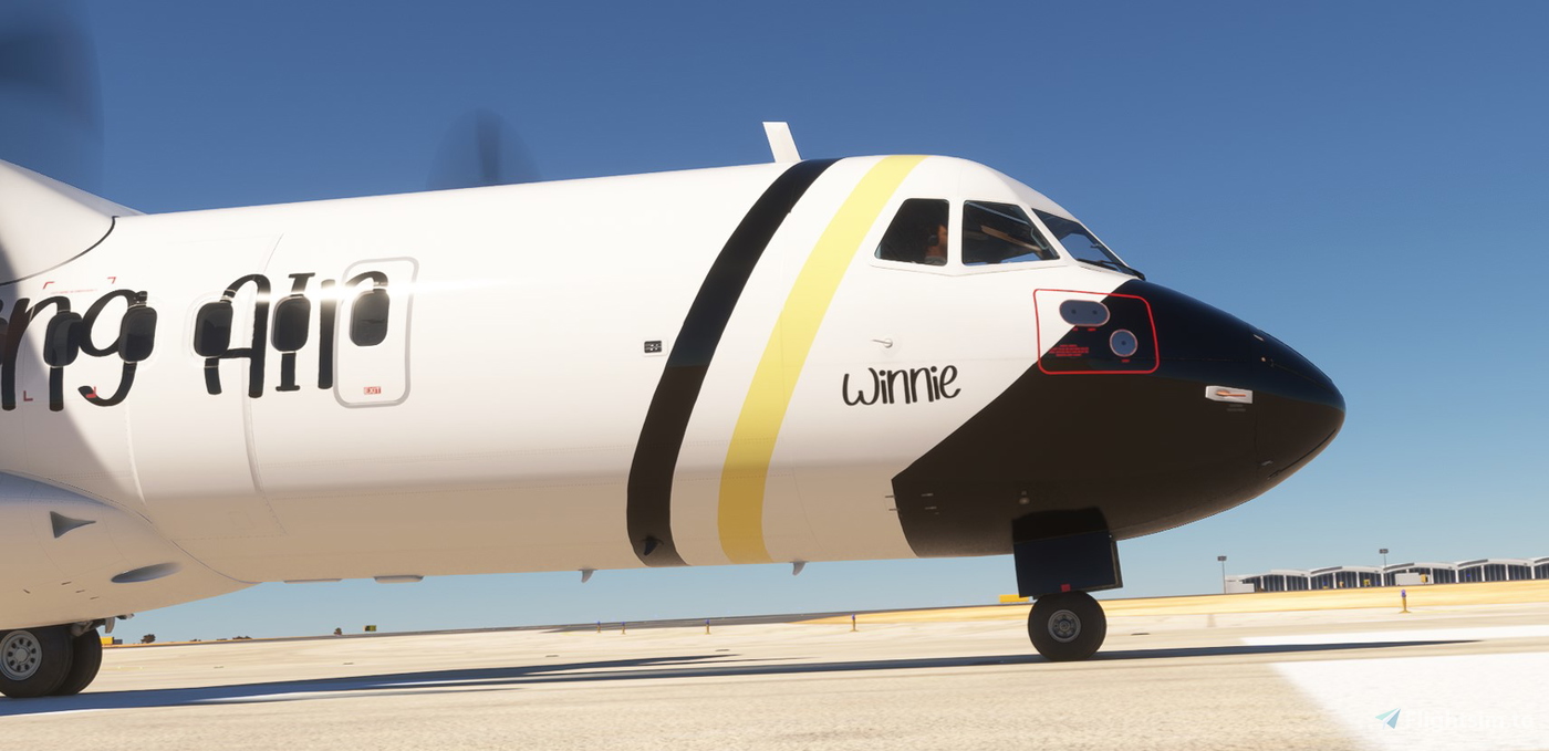 Cruizing Air - AT46 - VH-WIN for Microsoft Flight Simulator | MSFS