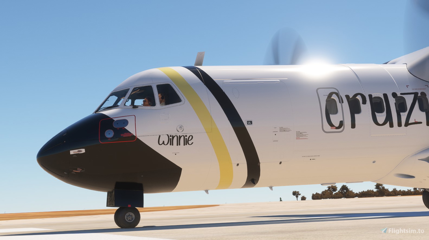 Cruizing Air - AT46 - VH-WIN for Microsoft Flight Simulator | MSFS