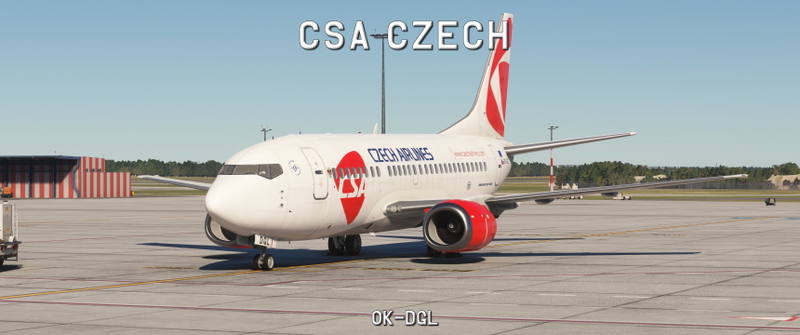 CSS 737-500 Liveries for Microsoft Flight Simulator | MSFS