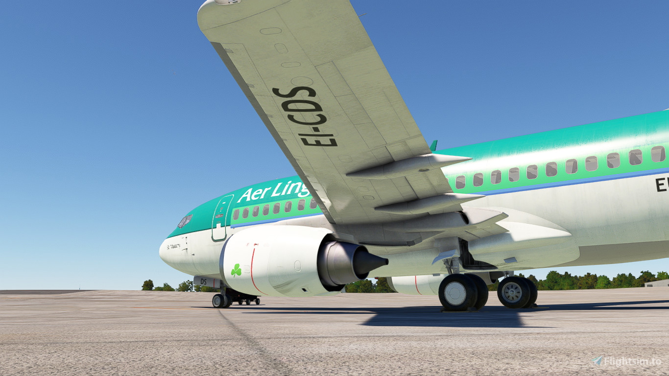 CSS Boeing 737-500 Aer Lingus EI-CDS, EI-CDH 4K voor Microsoft Flight ...