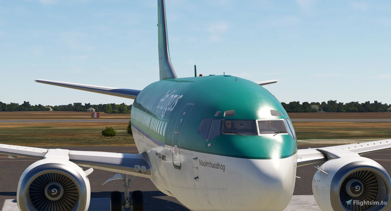 CSS Boeing 737-500 Aer Lingus EI-CDS, EI-CDH 4K for Microsoft Flight ...