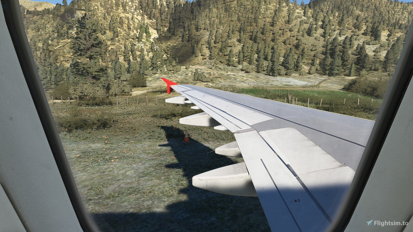 Custom Camera Views [FENIX A321 IAE & CFM] for Microsoft Flight Simulator | MSFS