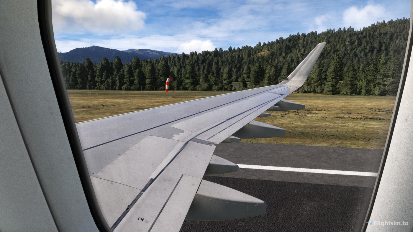 Custom Camera Views [FENIX A321 IAE & CFM | WTF + SL] for Microsoft Flight Simulator | MSFS