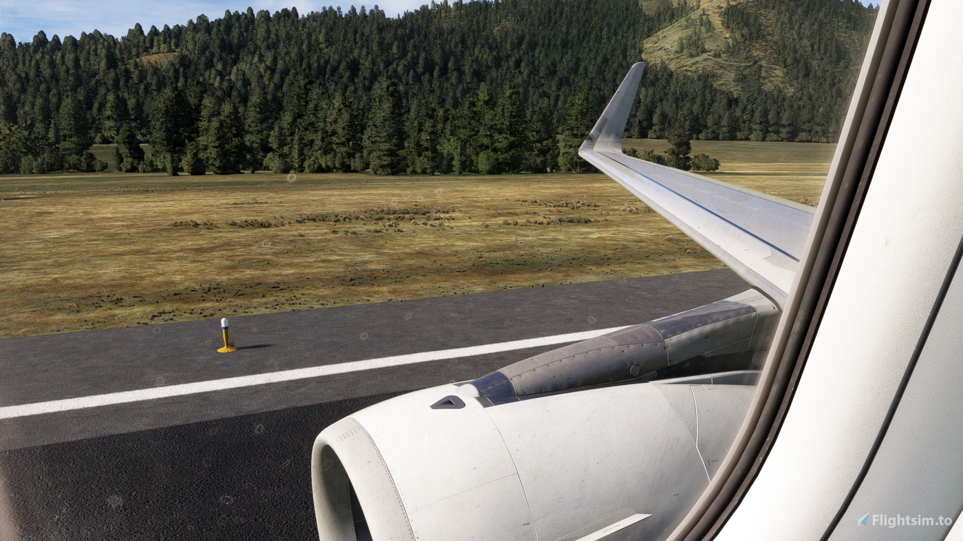 Custom Camera Views [FENIX A321 IAE & CFM | WTF + SL] for Microsoft Flight Simulator | MSFS