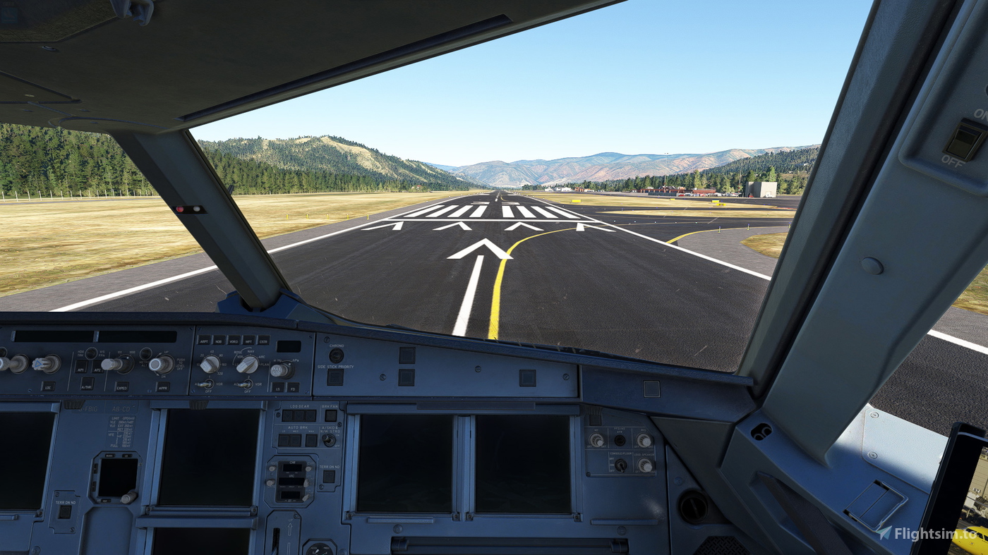 Custom Camera Views [FENIX A321 IAE & CFM | WTF + SL] for Microsoft Flight Simulator | MSFS