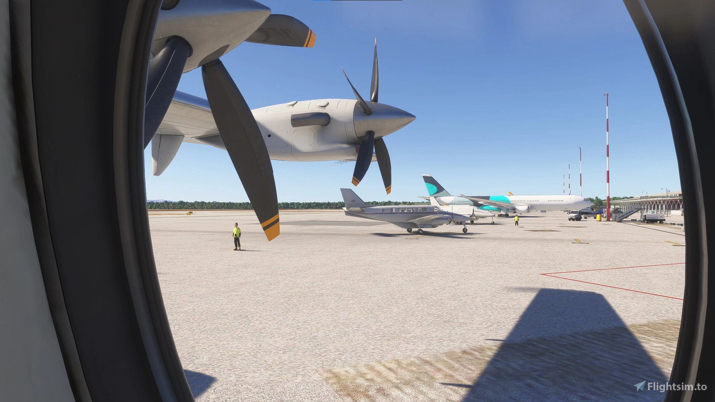Custom camera views for every MSFS2024 airplane | MSFS24 for Microsoft Flight Simulator | MSFS