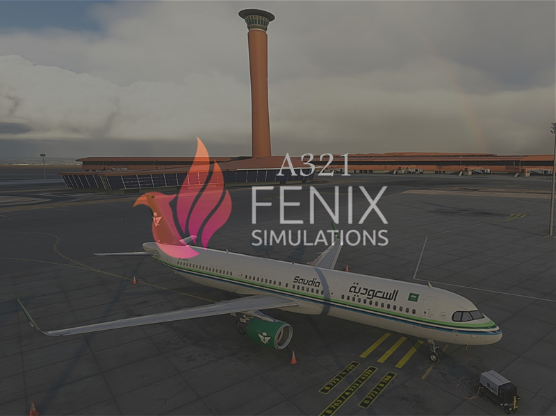 Custom Views for Fenix Simulations A321 on Microsoft Flight Simulator