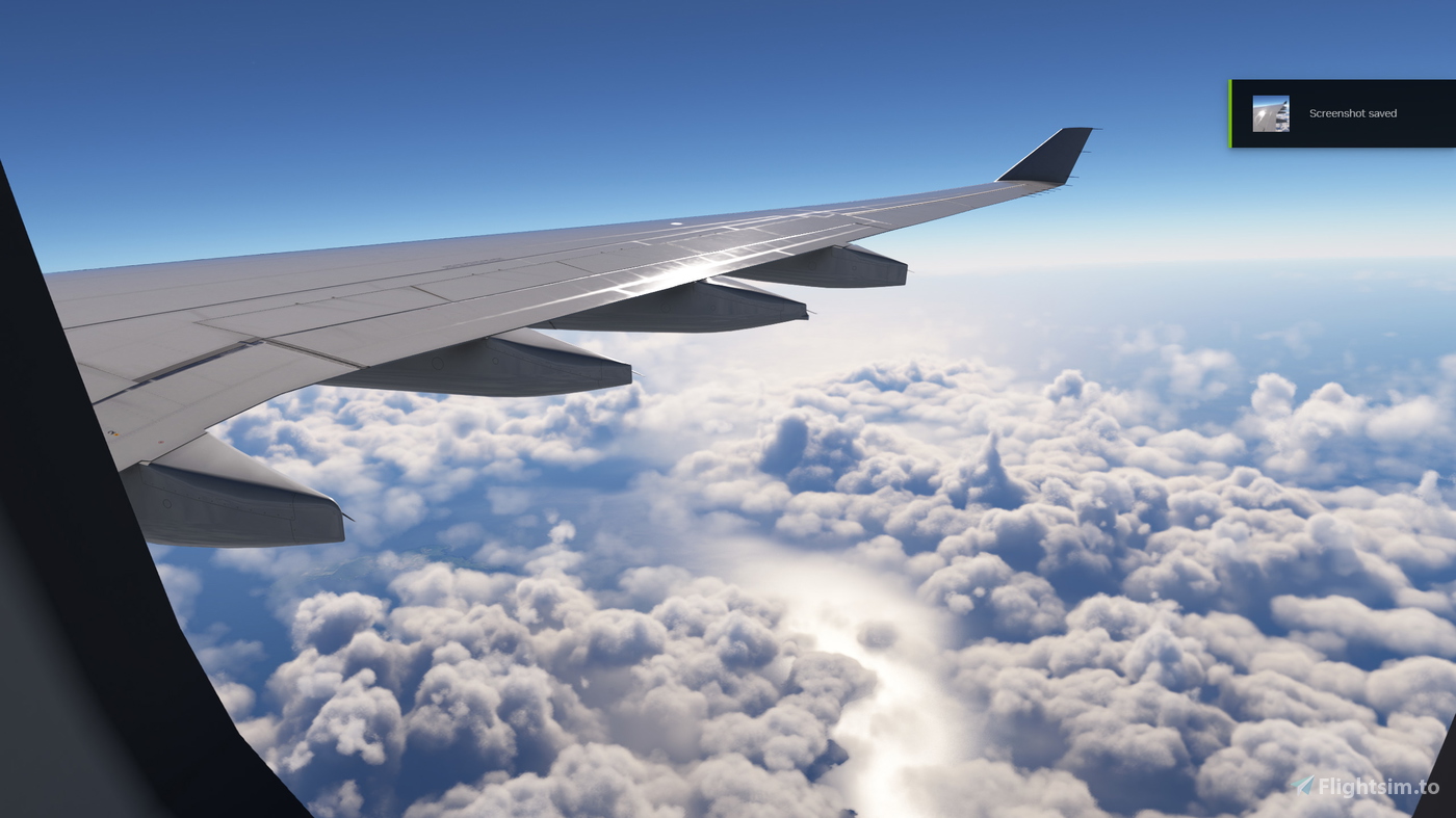 Custom Wing views for Aerosoft A330-300 for Microsoft Flight Simulator ...