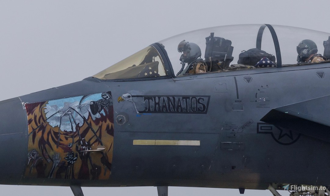 DC Designs F-15 492nd FS 96-202 'THANATOS' nose art 对于 Microsoft Flight ...