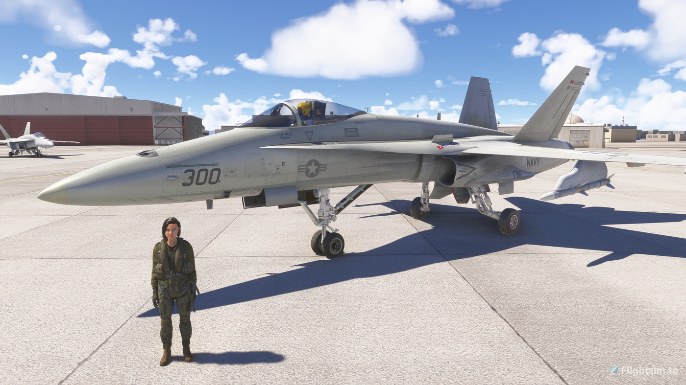 DC Designs F/A-18C Dagger 3 - Phoenix's Aircraft from Top Gun Maverick ...