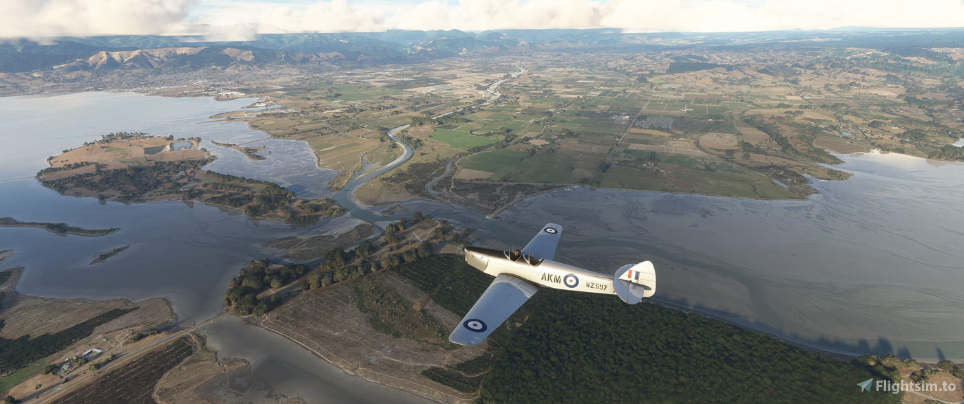 de Havilland DH-94 Moth Minor ZK-AKM for Microsoft Flight Simulator | MSFS