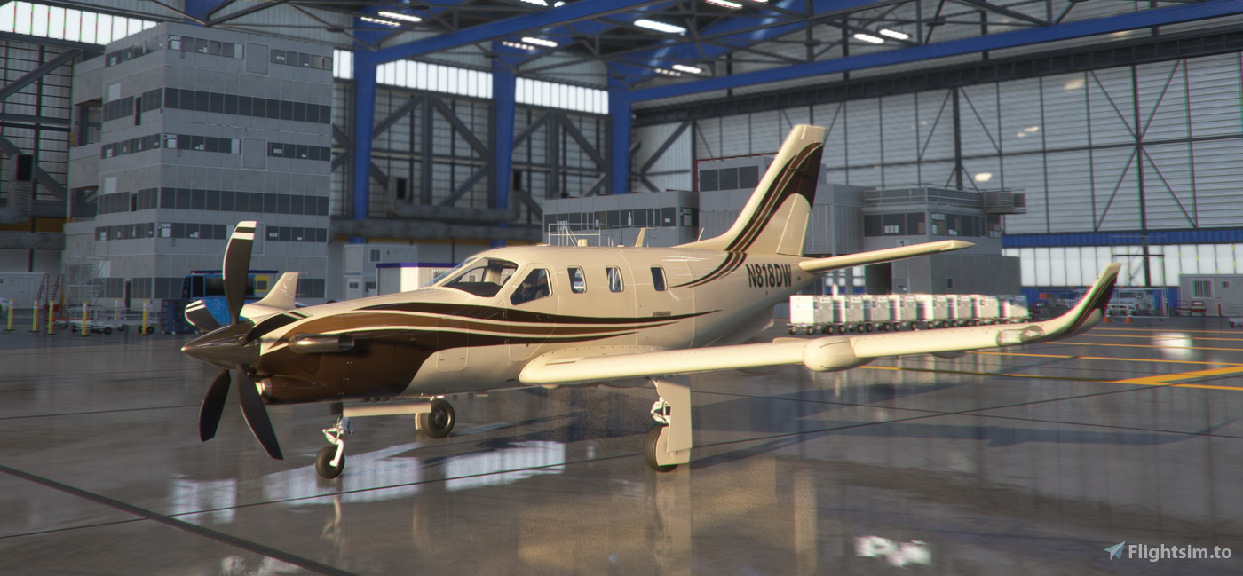 DEW 600 Brn for Microsoft Flight Simulator | MSFS