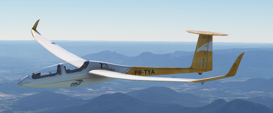 DG1001e Neo 10 Anos - Gold Virtual Airlines for Microsoft Flight ...