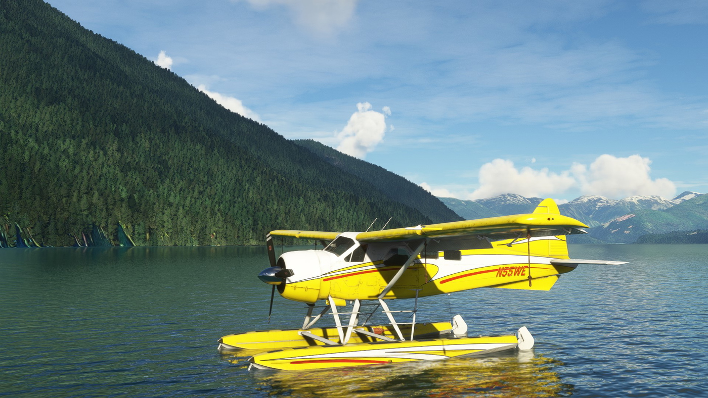 DHC-2 Beaver N55WE for Microsoft Flight Simulator | MSFS