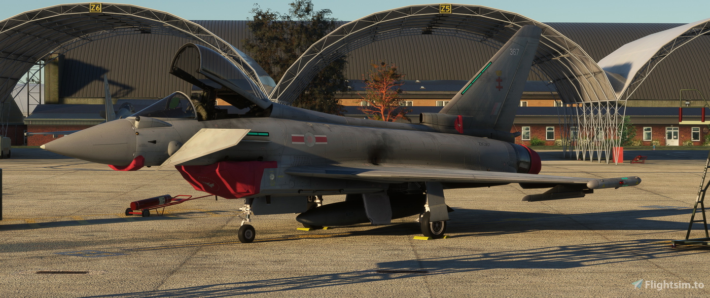 Enhanced Weathered - RAF Coningsby 41 TES Squadron Livery Pack for ...