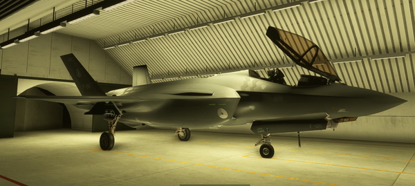 F35a Koninklijke Luchtmacht F-014 80 years Polly for Microsoft Flight Simulator | MSFS