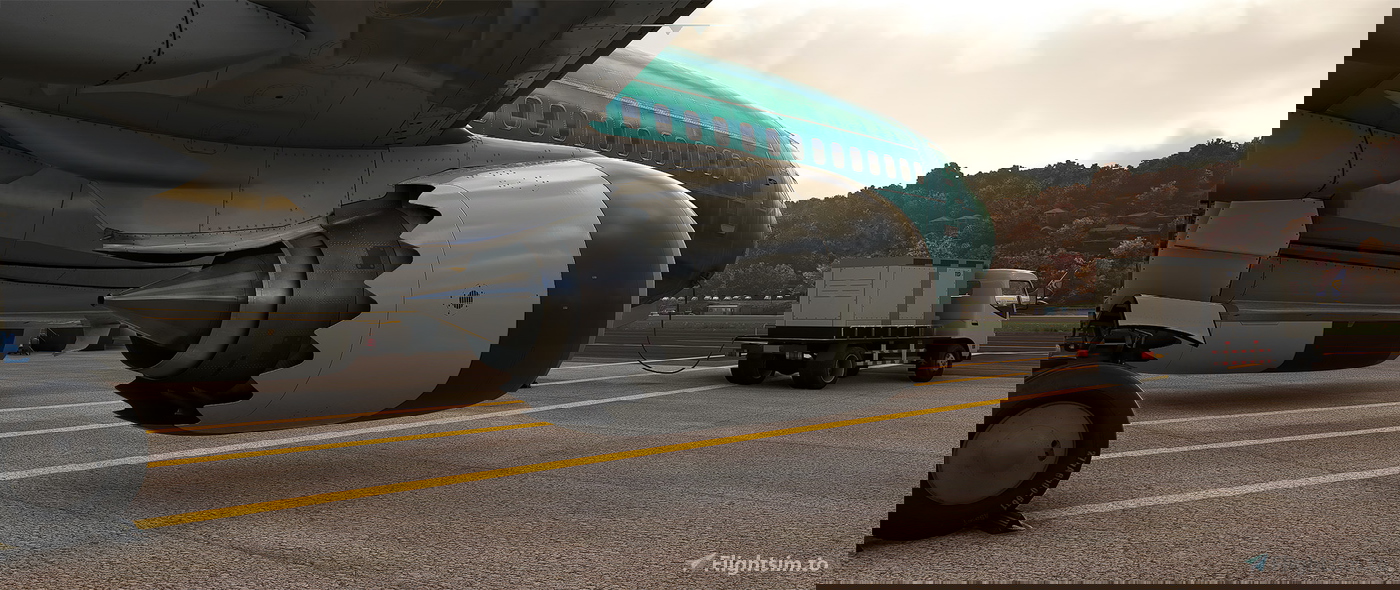 Factory Rollout Ifly 737 Max 8 对于 Microsoft Flight Simulator | MSFS