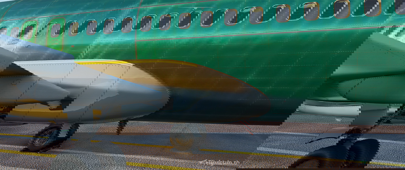 Factory Rollout Ifly 737 Max 8 for Microsoft Flight Simulator | MSFS