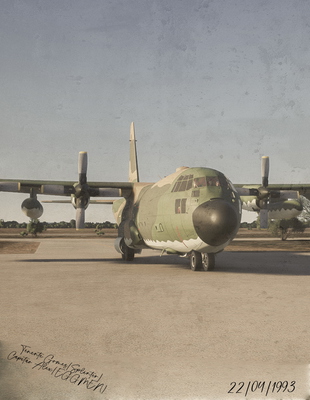 C130H-30 | Portuguese Air Force | CaptainSim L100-30 8k | MSFS2024 pour ...