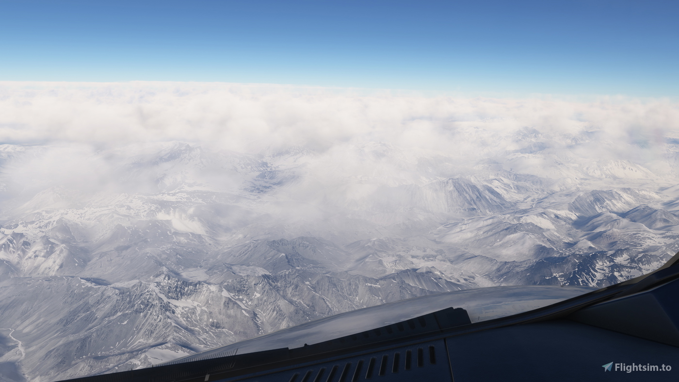 FENIX A319-321 Expansion Set Custom Views for IAE and CFM Variants by ...