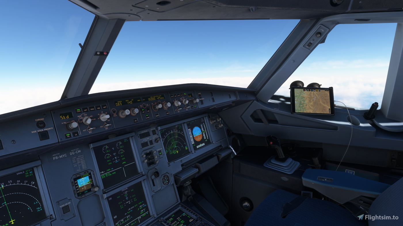 FENIX A319-321 Expansion Set Custom Views for IAE and CFM Variants by ...