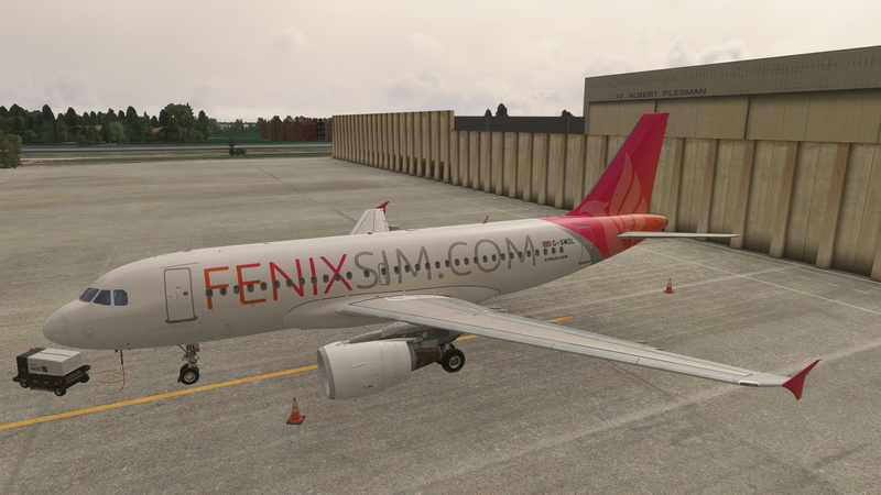 Fenix A319 Custom Camera Views for Microsoft Flight Simulator | MSFS