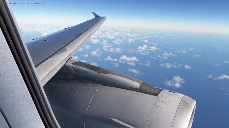 Fenix A320 Camera Views for Microsoft Flight Simulator | MSFS