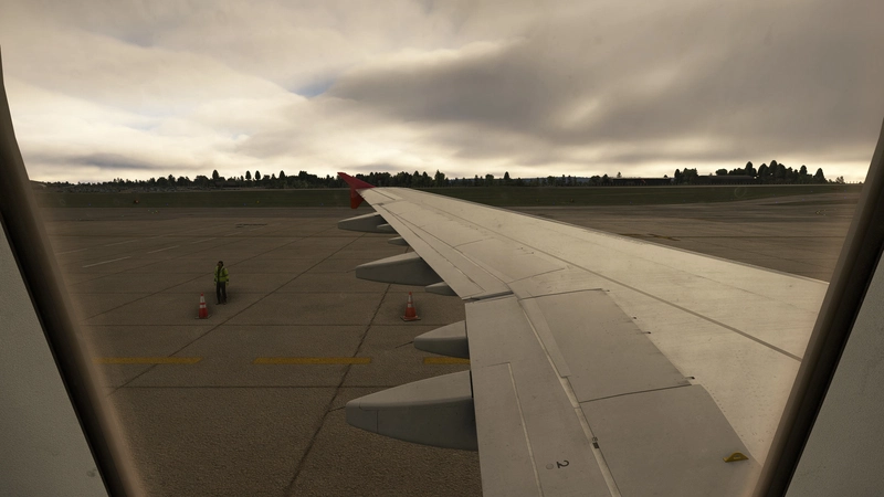 Custom Views for Fenix Simulations A320 on Microsoft Flight Simulator