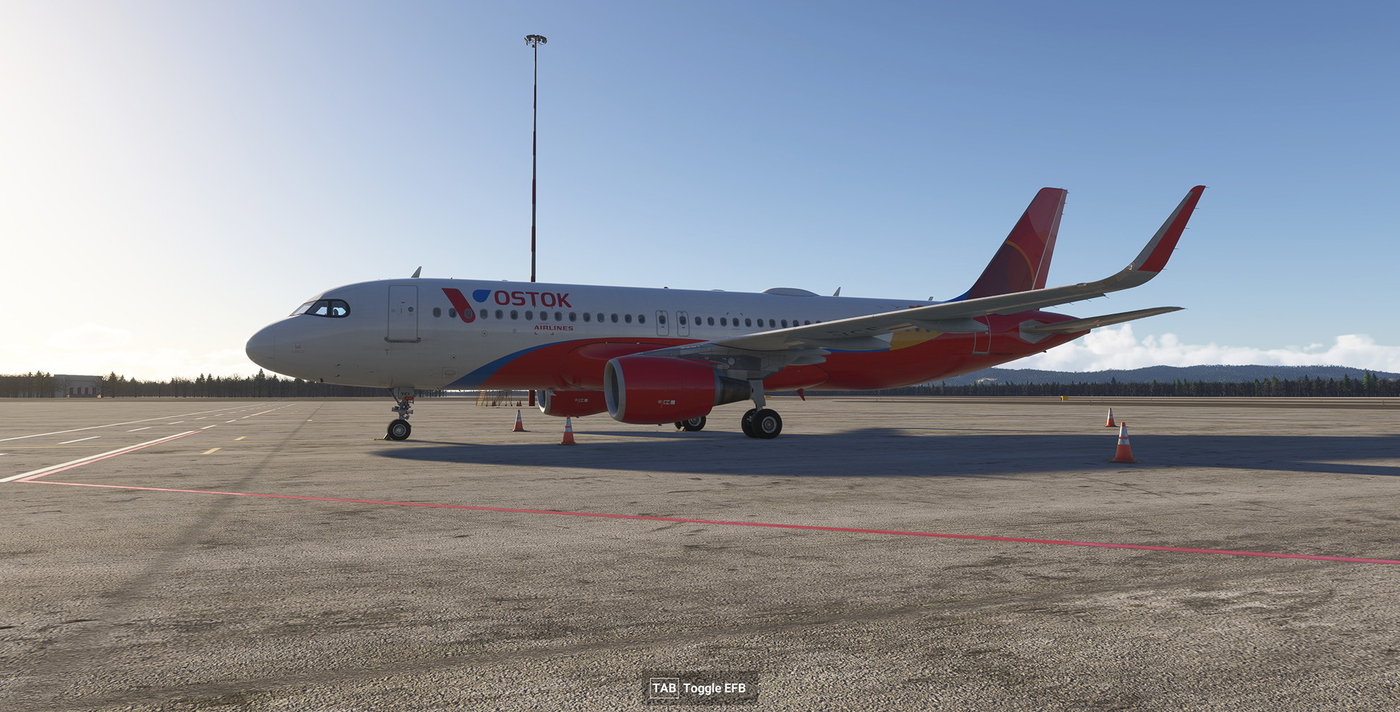 Fenix A320 SL VA Vostok (CFM) pour Microsoft Flight Simulator | MSFS