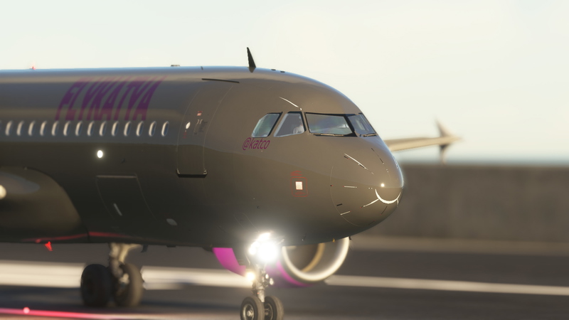 Fenix Simulations A320 Liveries for Microsoft Flight Simulator | MSFS