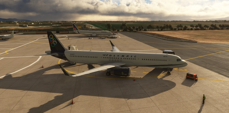 Fenix Simulations A321 Liveries for Microsoft Flight Simulator | MSFS