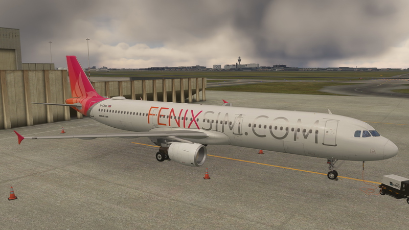 Fenix A321 Custom Camera Views for Microsoft Flight Simulator | MSFS