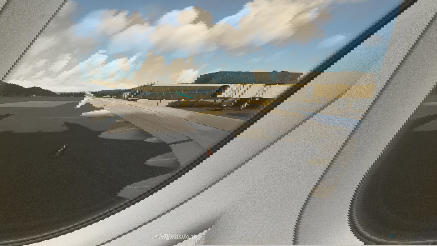 Fenix A321 IAE & CFM Custom Camera Views for Microsoft Flight Simulator | MSFS