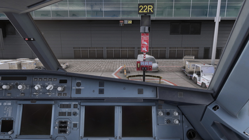 Fenix A321 IAE Custom Camera Views for Microsoft Flight Simulator | MSFS